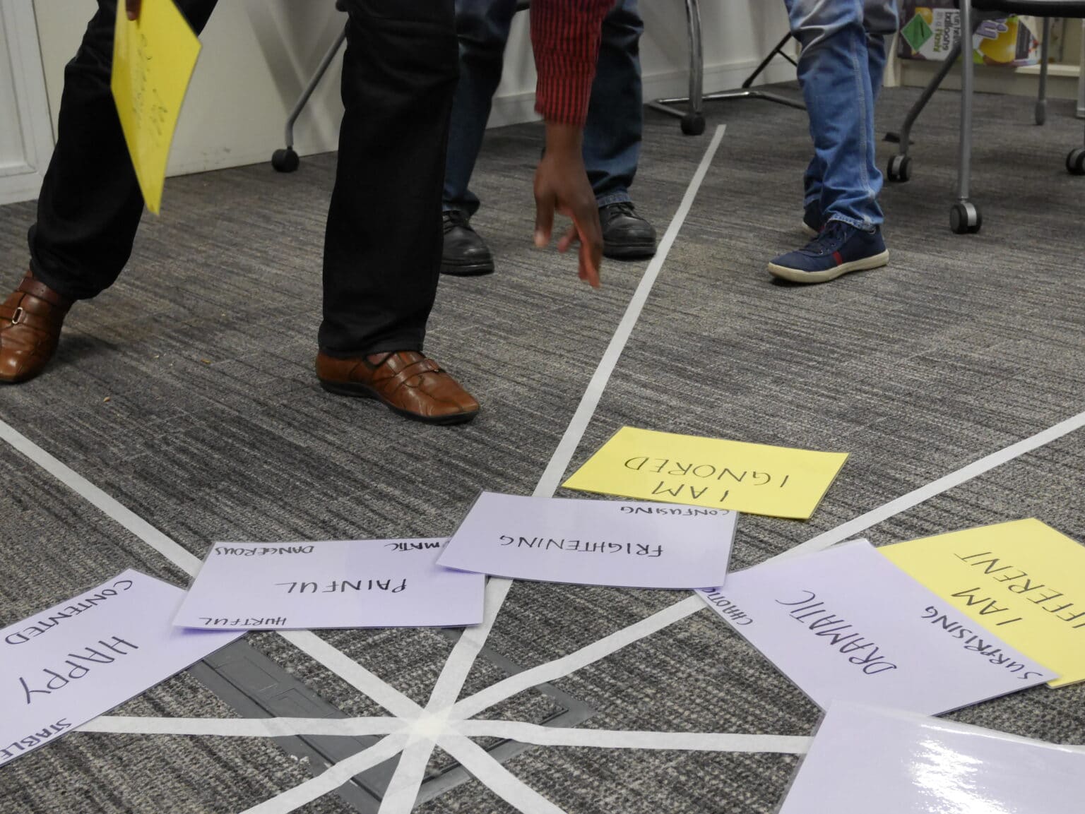 The Quest Programme - The Quest